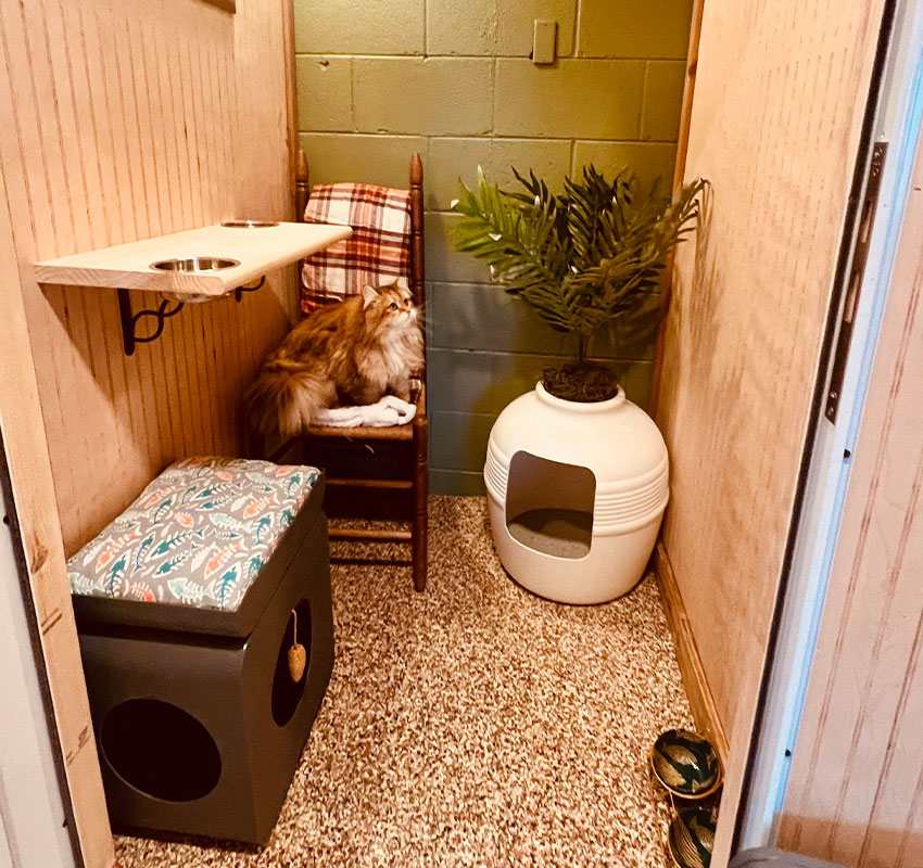 Cat Lodging | Tiny Tails Lodge